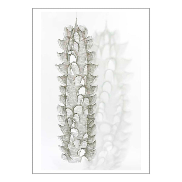 Ruth Asawa Untitled Sculpture Postcard - de Young & Legion of Honor ...